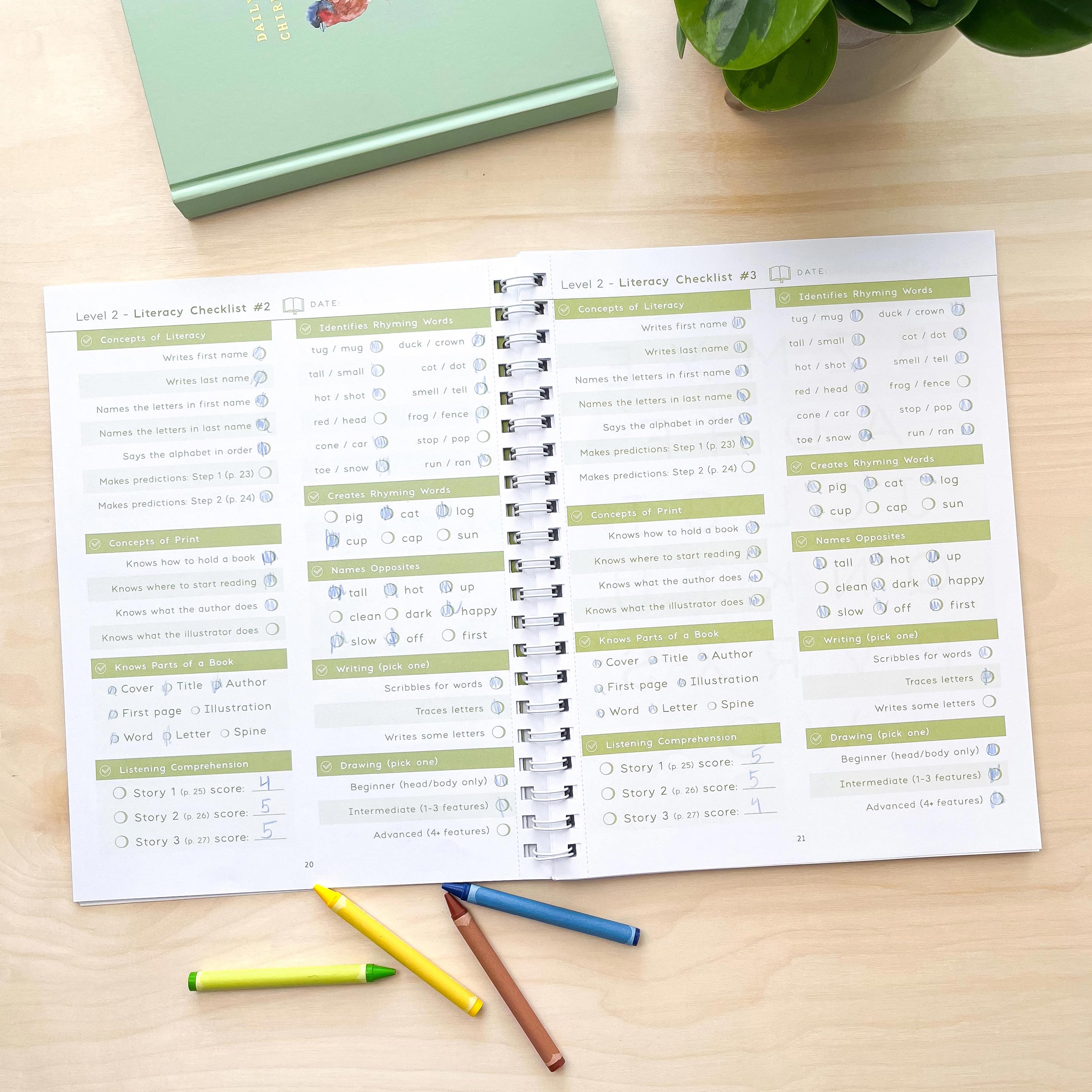 Primary Homeschool Planner