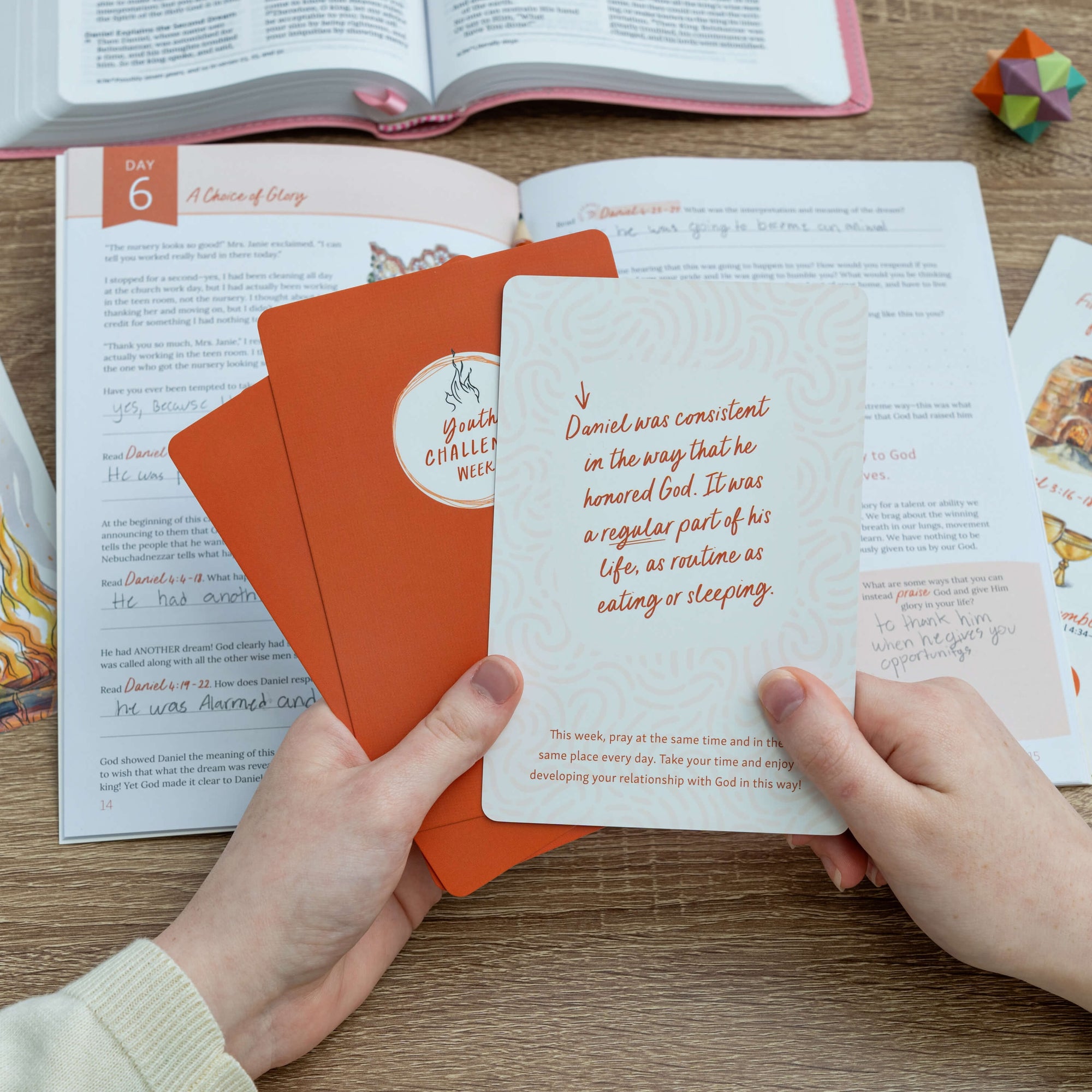 Fired Up!: A Bible Study on the book of Daniel