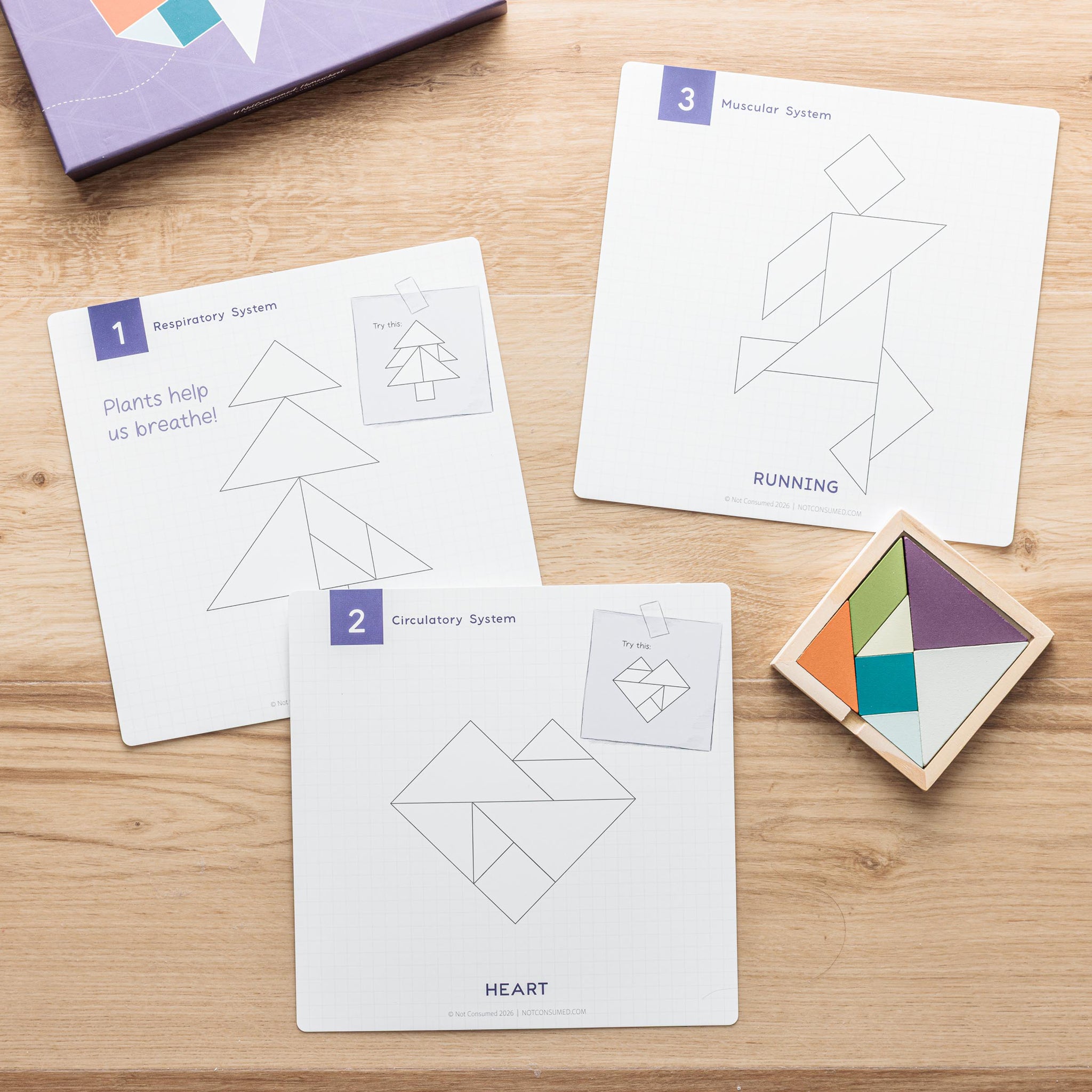 Discoveries in Motion Tangram Cards – Not Consumed