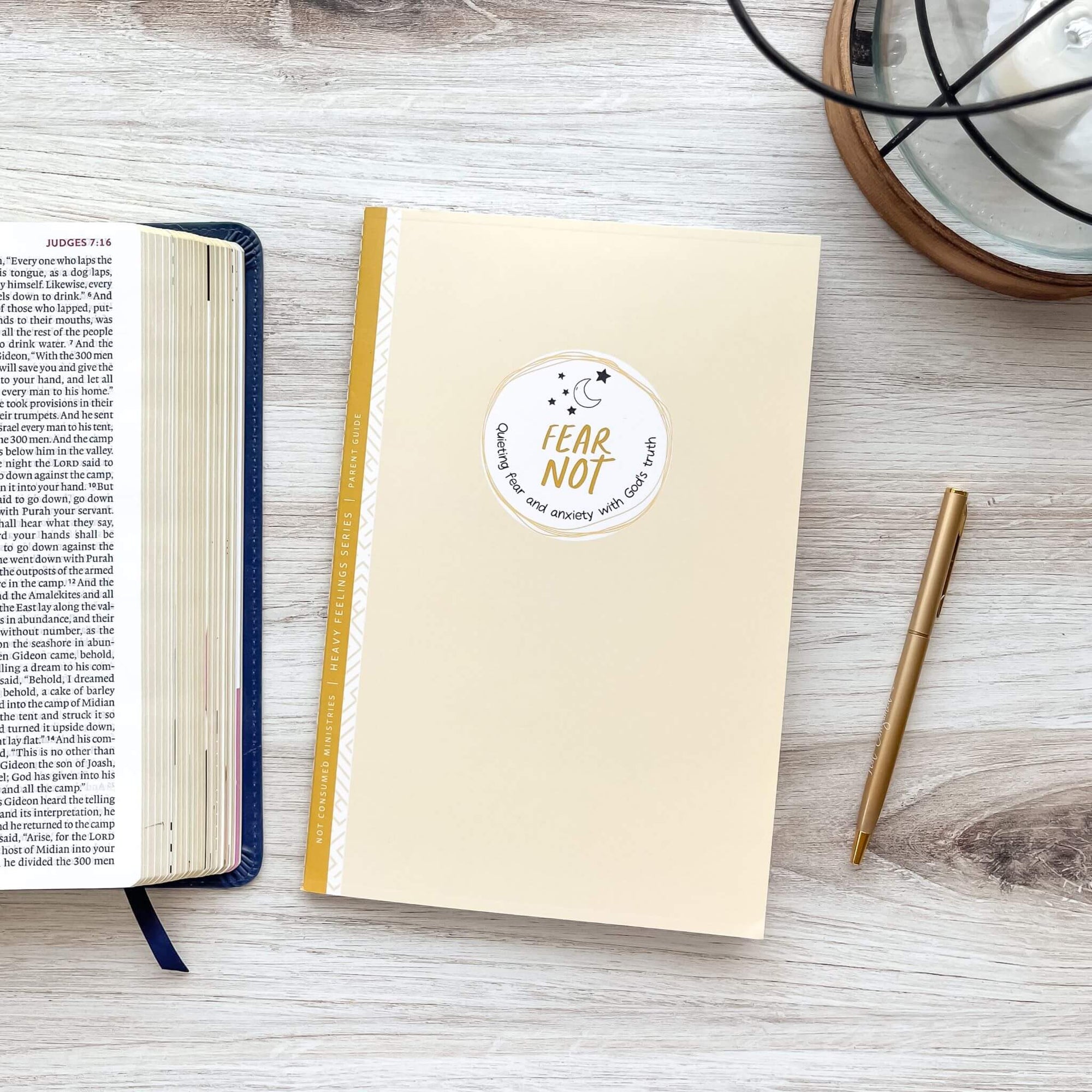 Fear Not: A Bible Study on Quieting Fear and Anxiety with God’s Truth