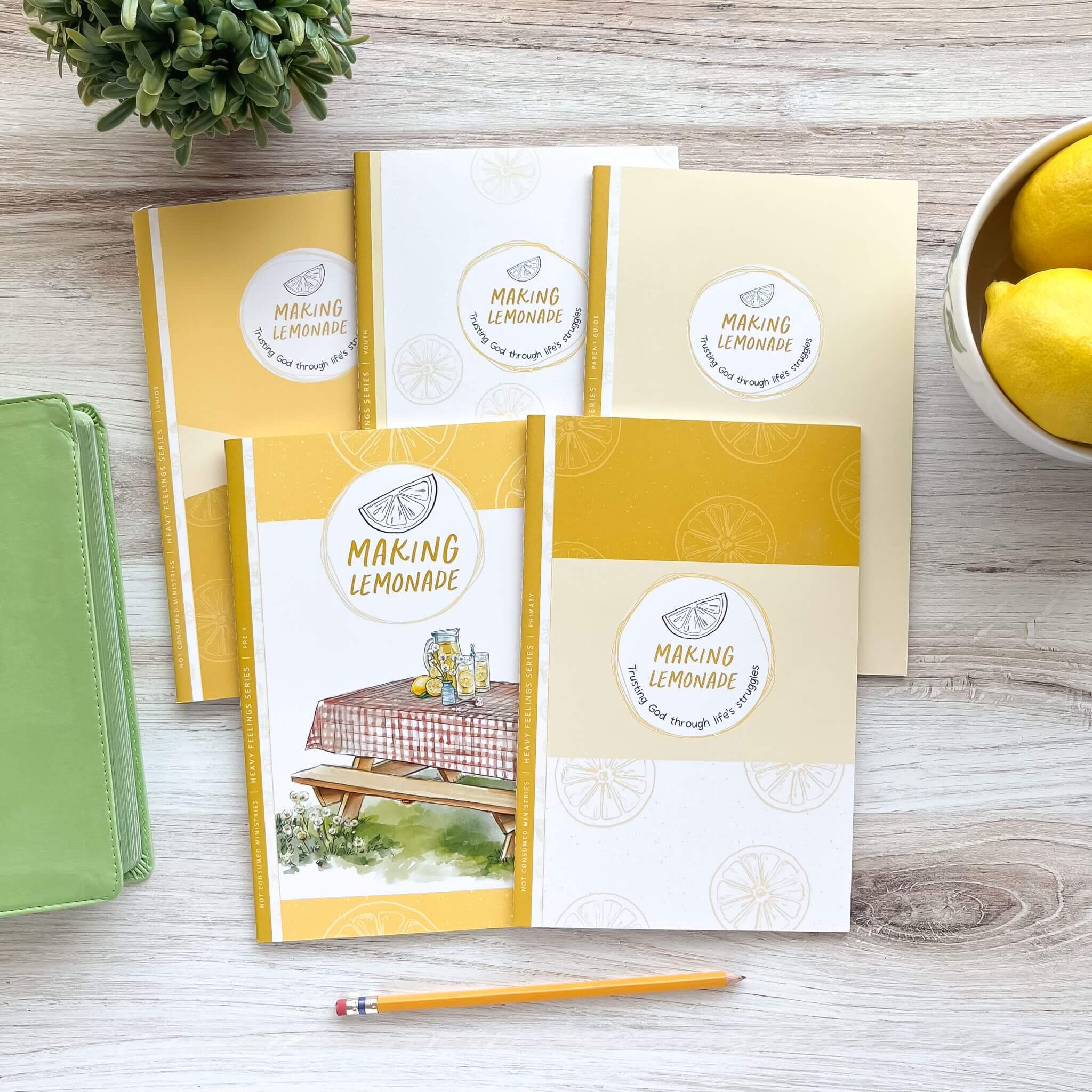 Making Lemonade: A Bible Study on Trusting God Through Life’s Struggle