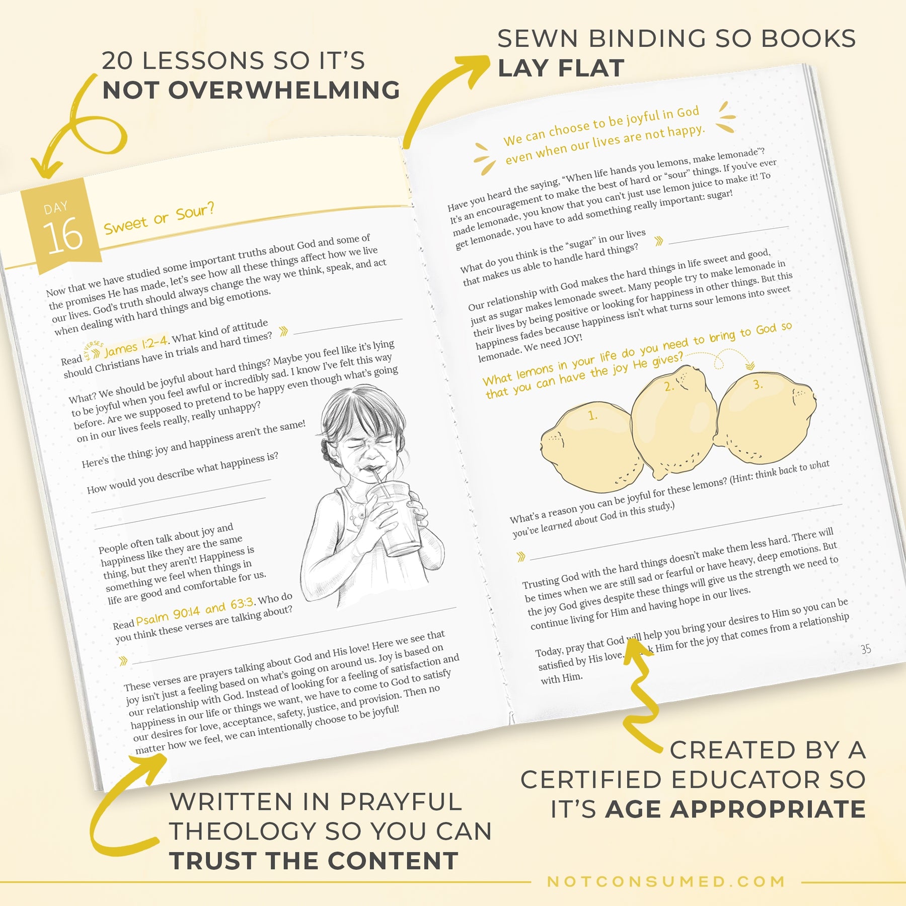 Heavy Feelings Bible Study Series