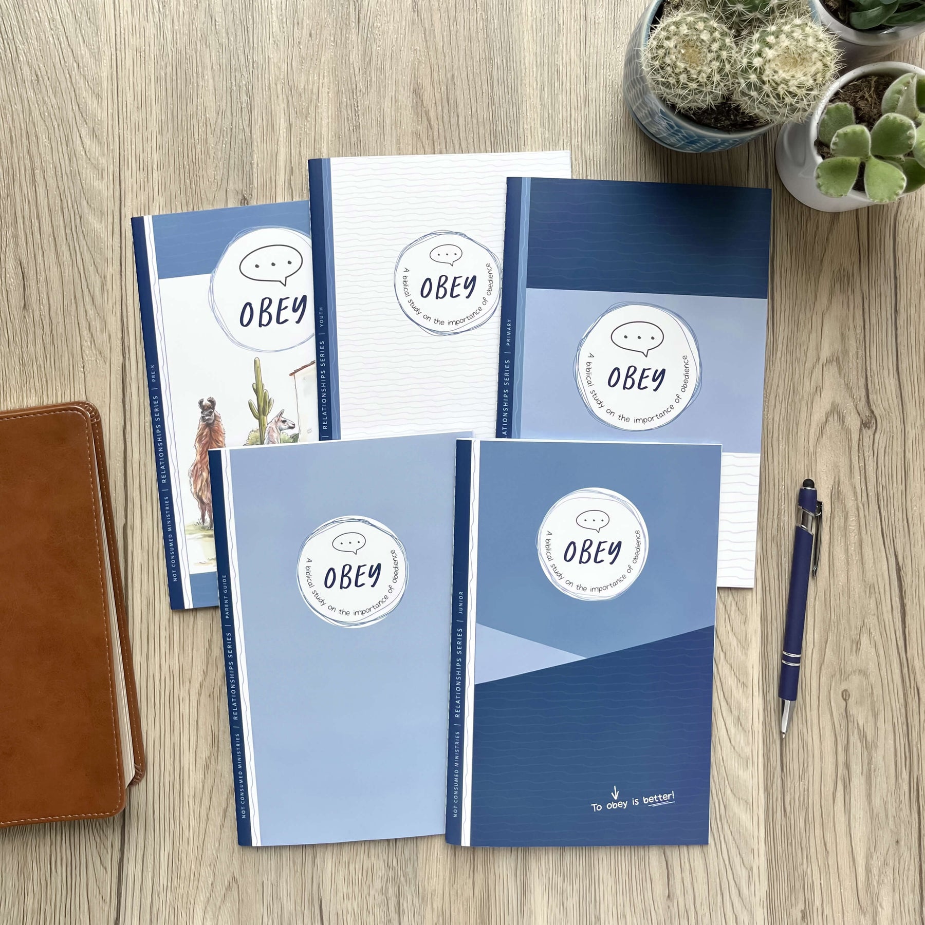 Relationships Bible Study Series