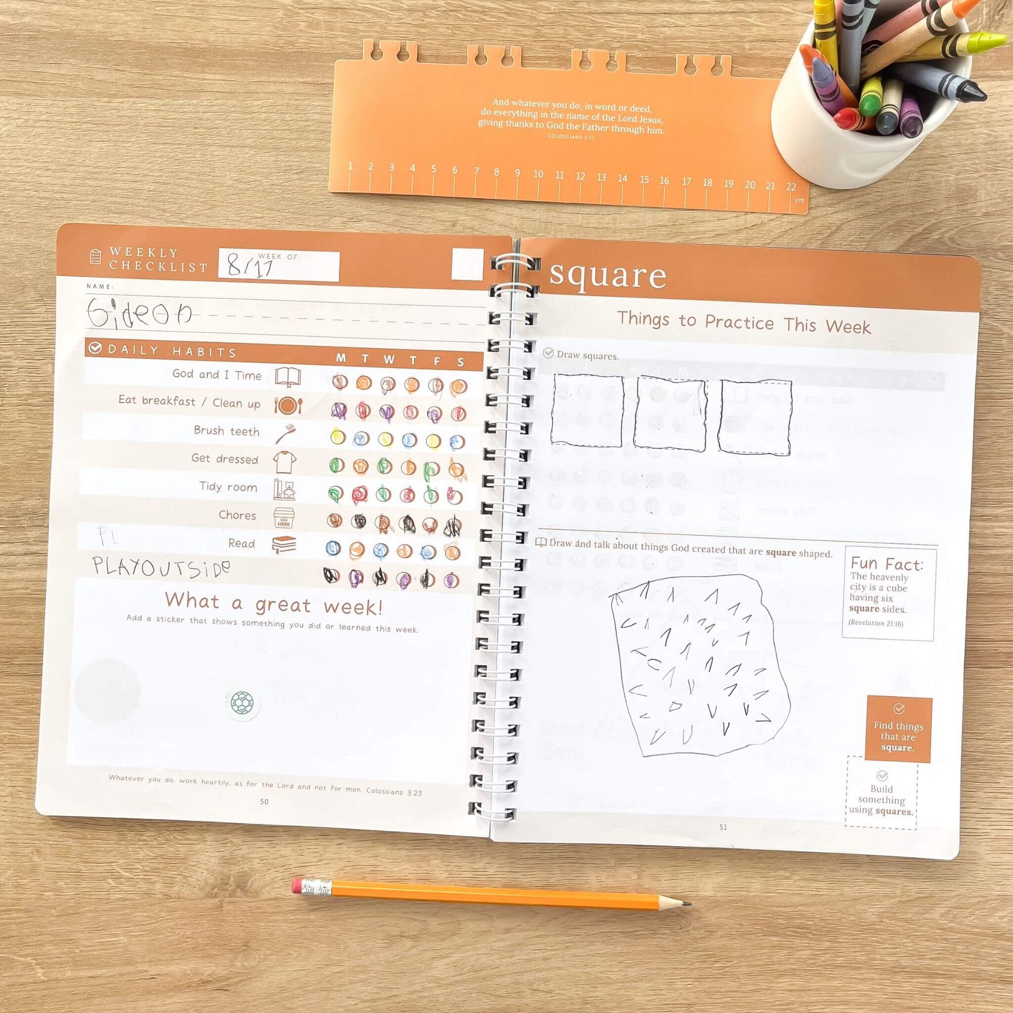 Primary Homeschool Planner