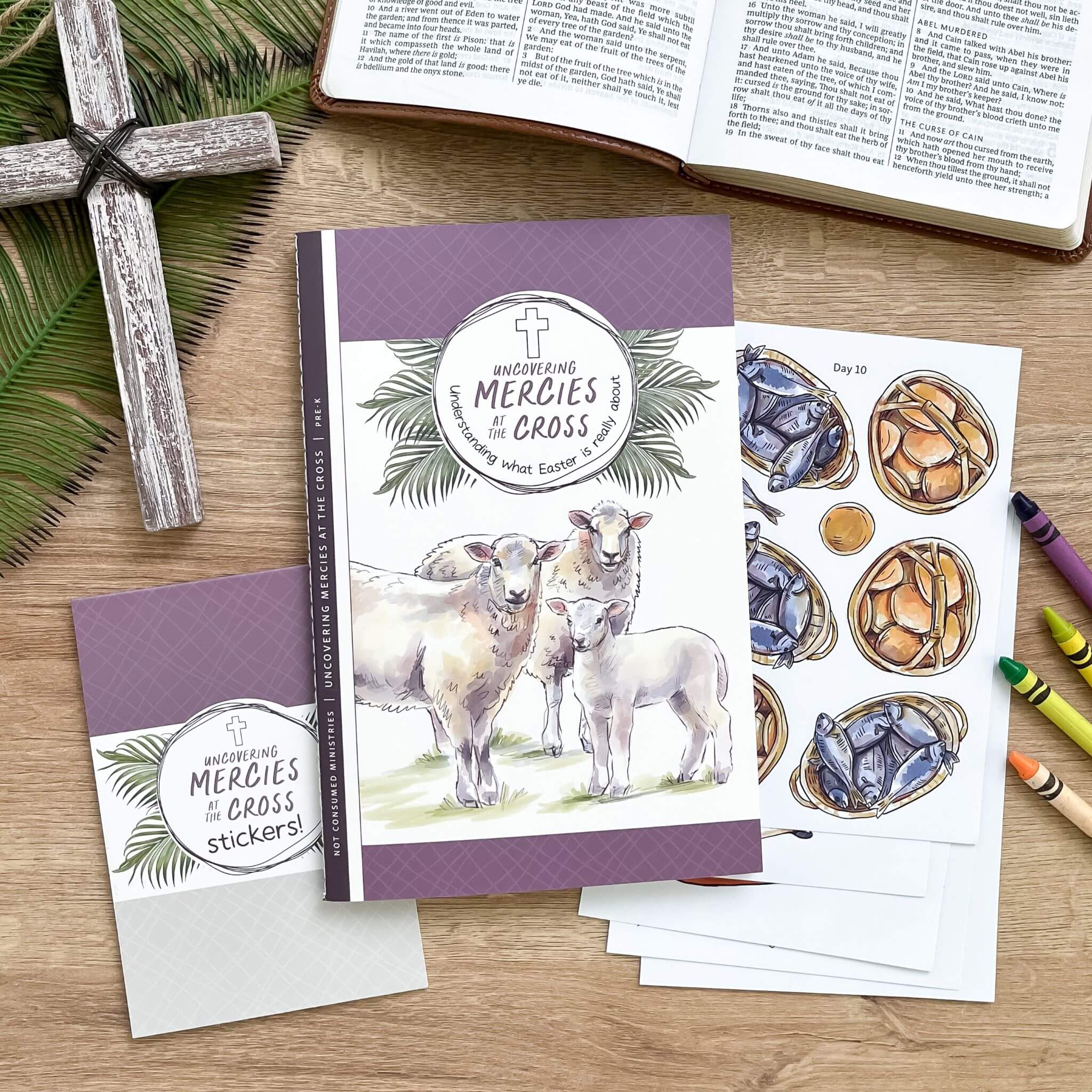 Uncovering Mercies at the Cross Bible Study