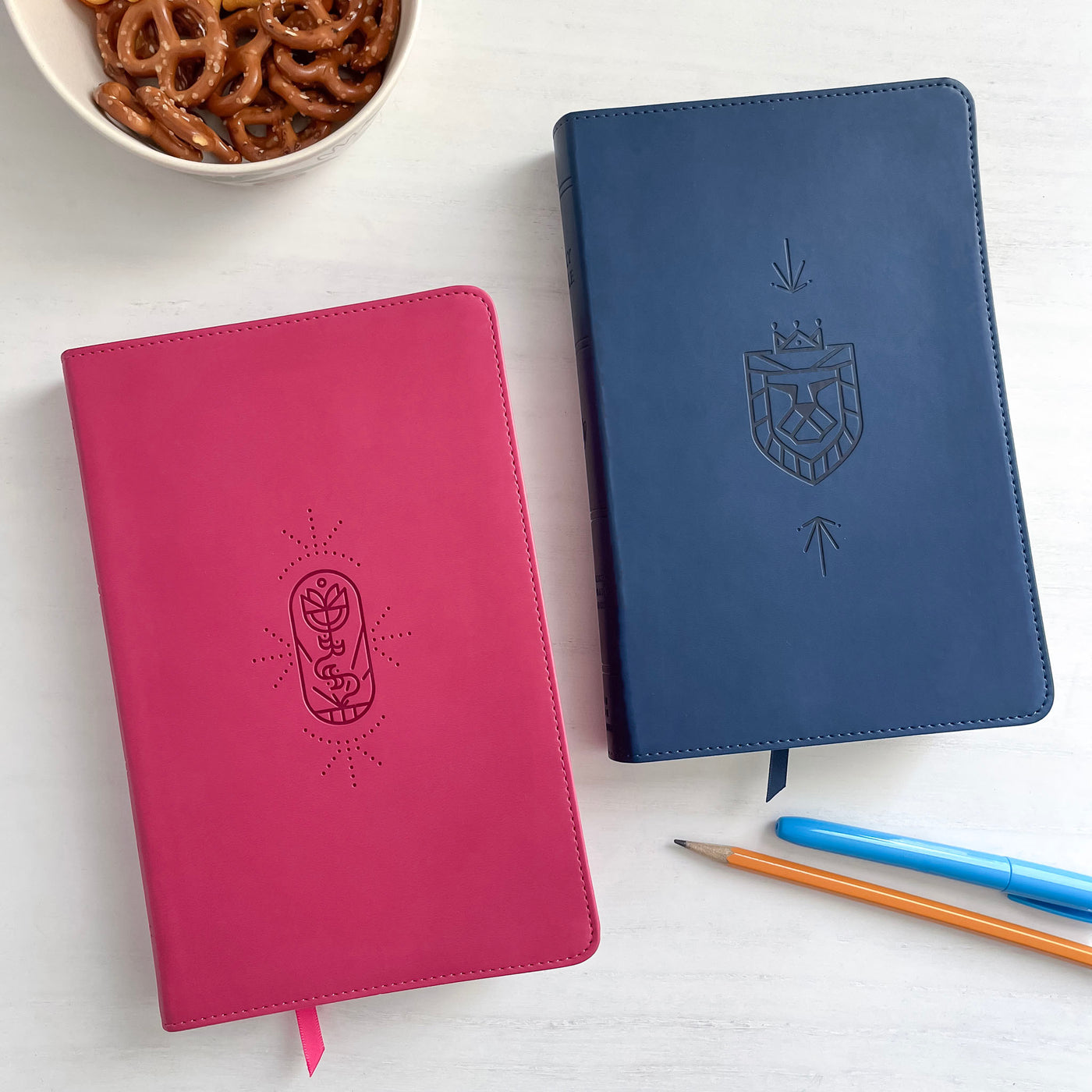 Bibles Collection | ESV & KJV for Kids