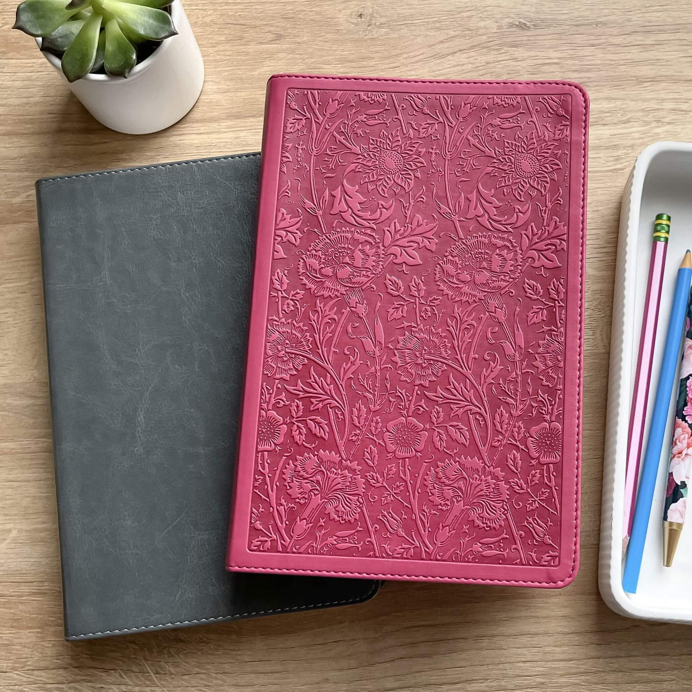 Bibles Collection | ESV & KJV for Kids