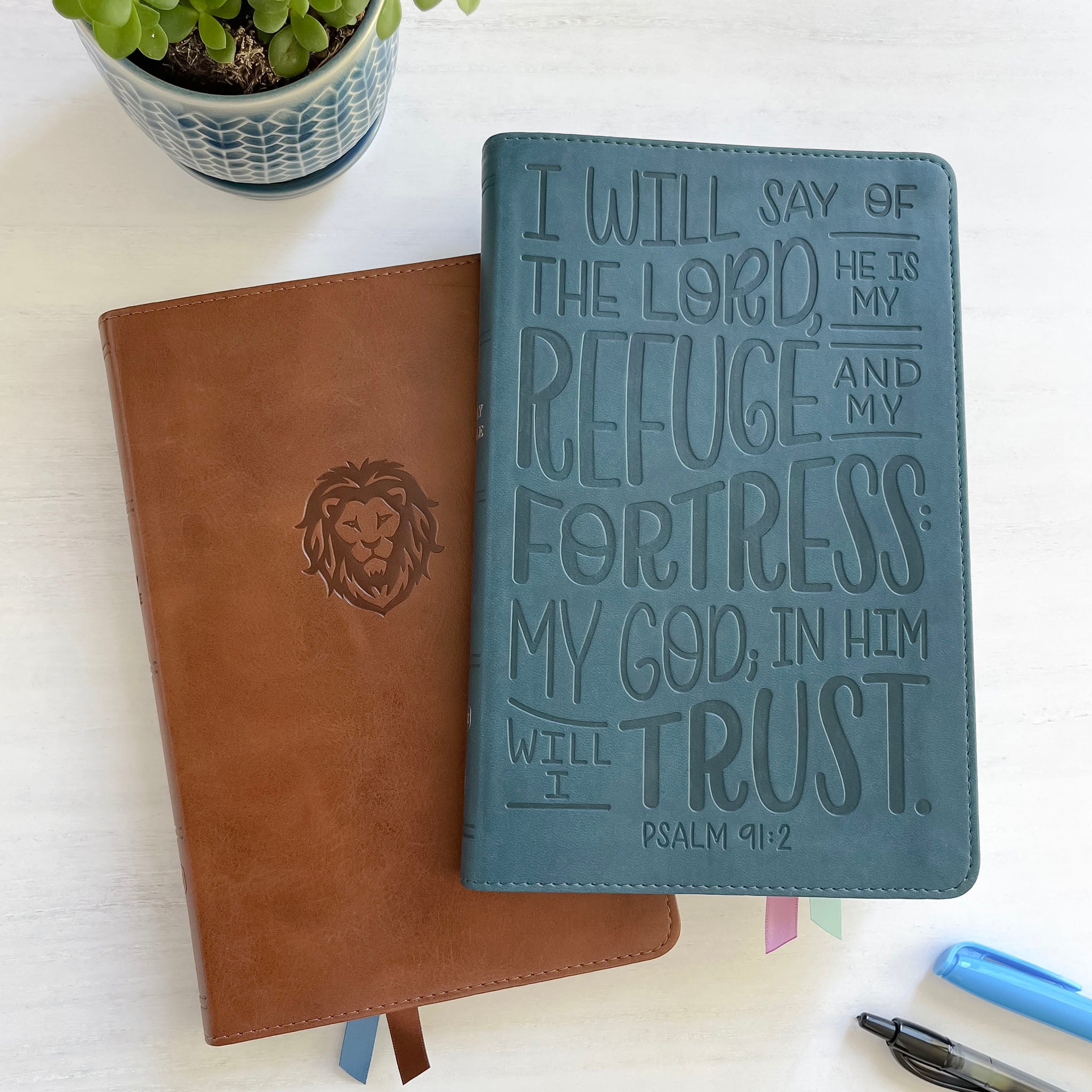 Bibles Collection | ESV & KJV for Kids