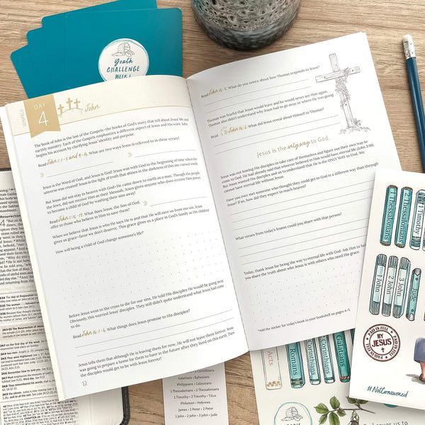 God's Story New Testament Bible Study