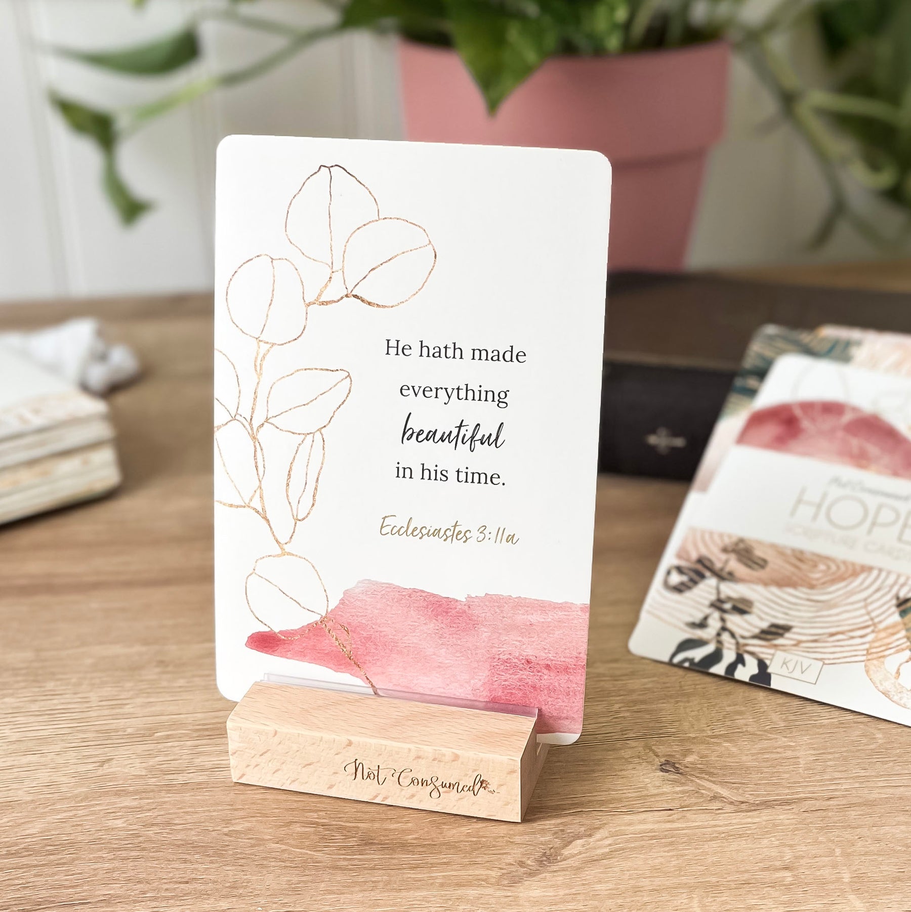 Scripture Cards Collection