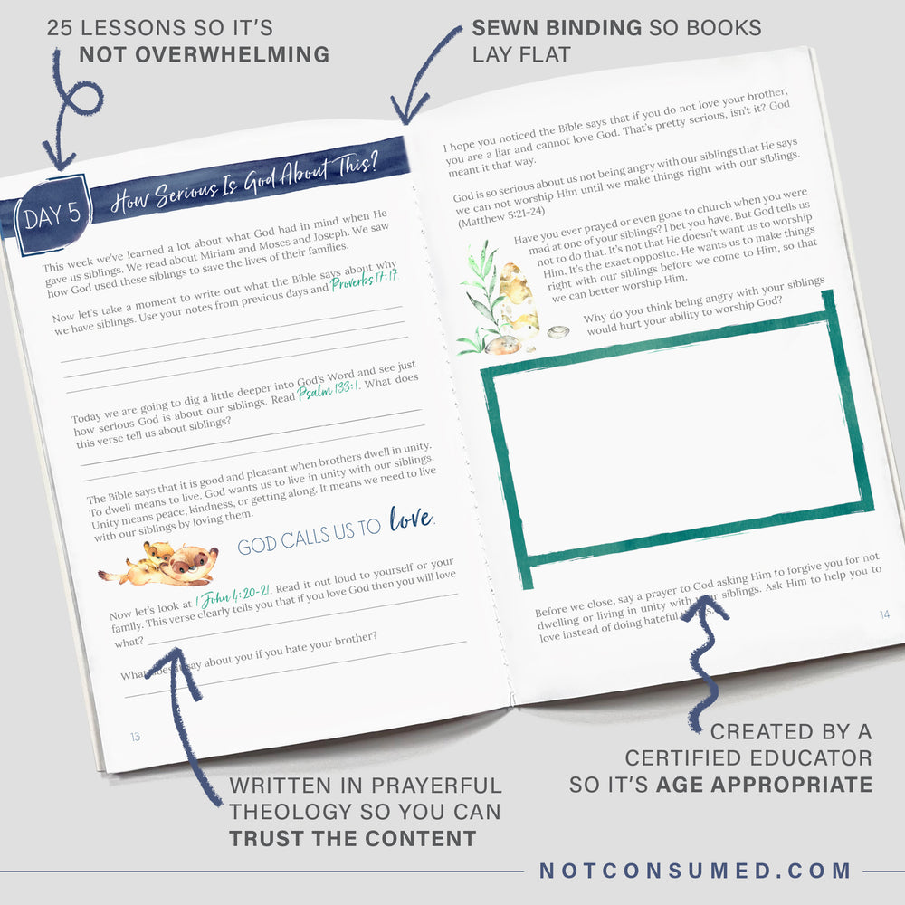 Relationships Bible Study Series