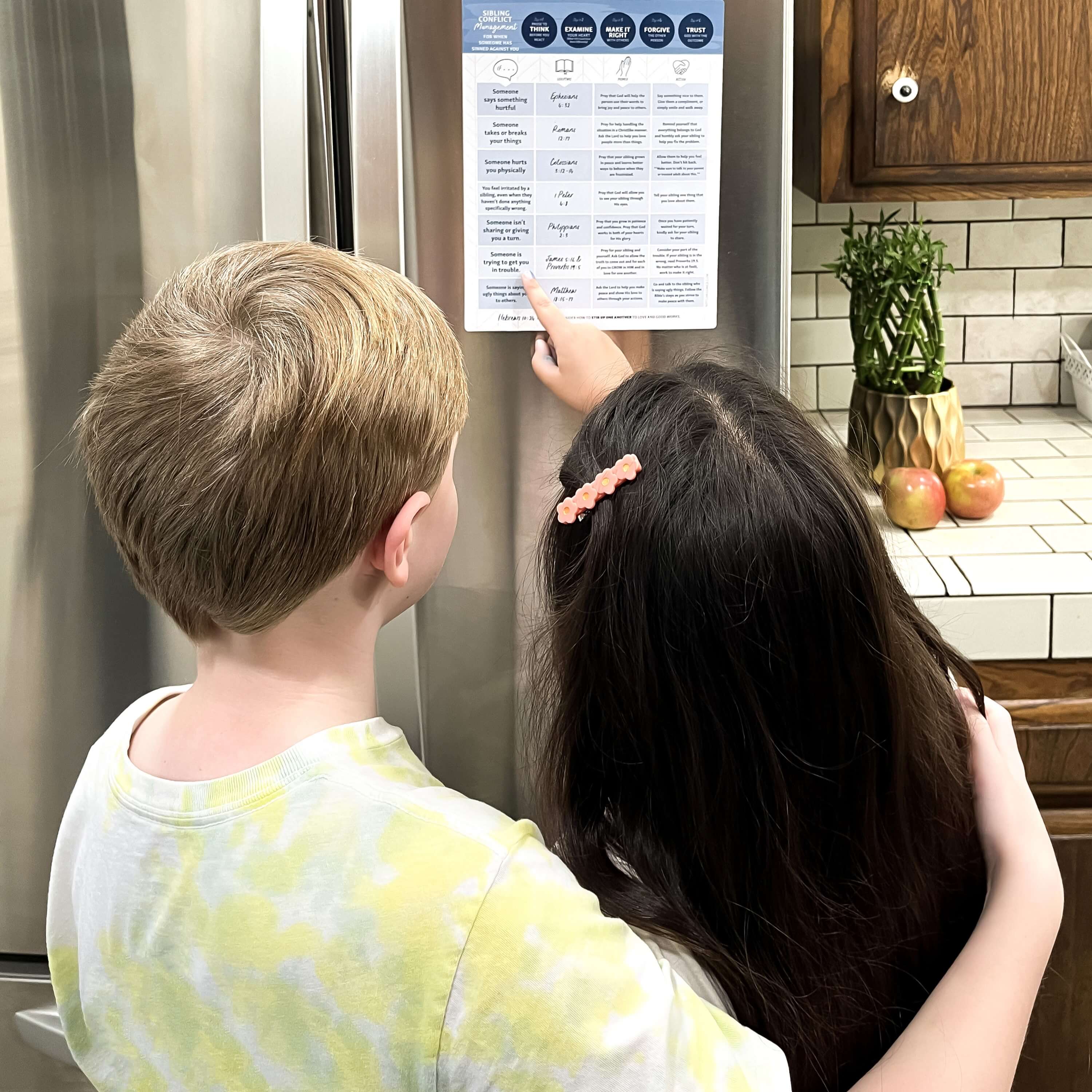 Sibling Conflict Chart