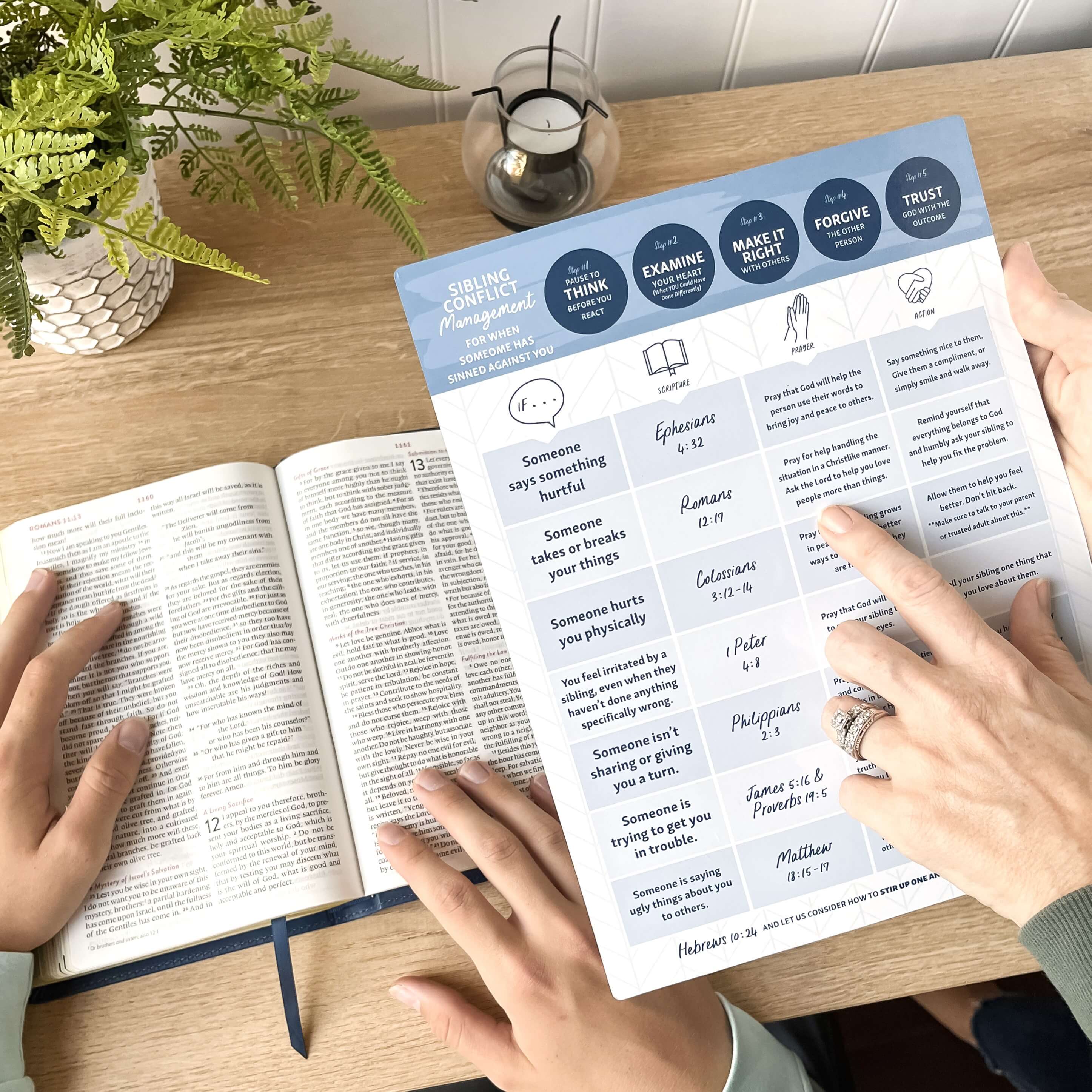 Sibling Conflict Chart