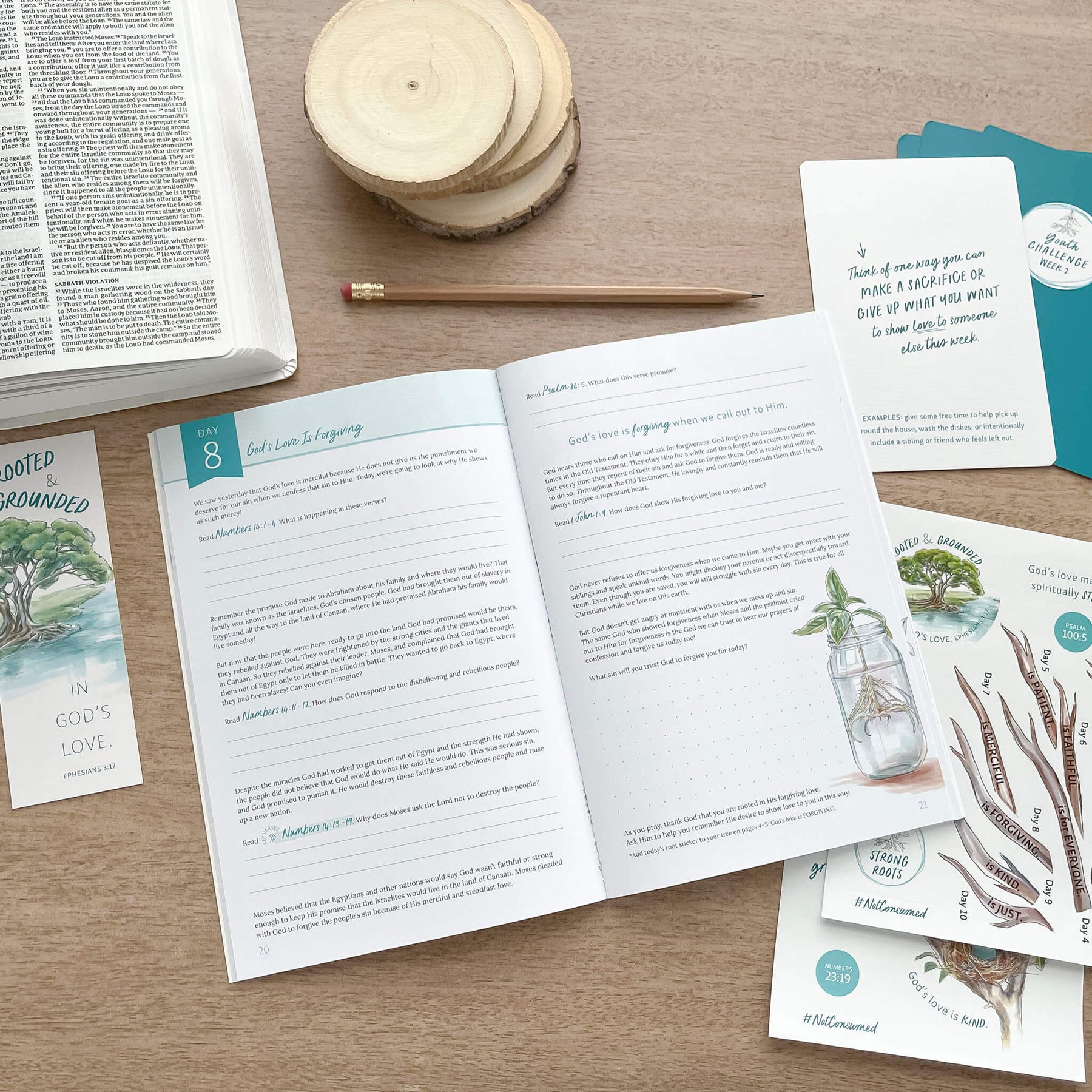 Strong Roots: A Bible Study on God's Love